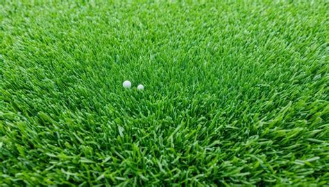Golf Course Grass Types Choosing The Perfect Turf Golf Gps Authority