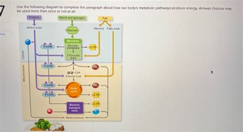 Solved 7 Use The Following Diagram To Complete The Paragraph