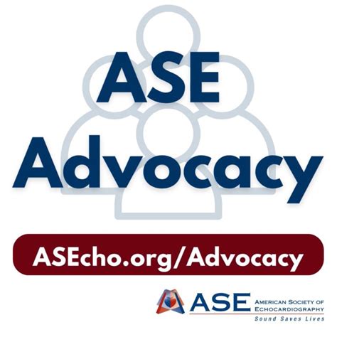 2025 Coding Connection Ase