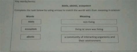 Ke Words Terms Blotic Ablotic Ecoryatem Words StudyX