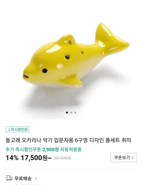 새상품 입문용 귀여운 돌고래 당근 중고거래