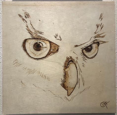 Owl Wood Pyrography Etsy