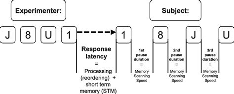 Speed Of Information Processing And Verbal Working Memory In