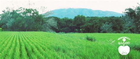 若葉農園 【そのまんま通販】特産品ギフトを産直お取り寄せ