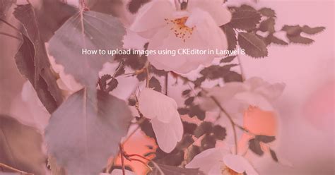 Learning Laravel On Twitter How To Upload Images Using Ckeditor In