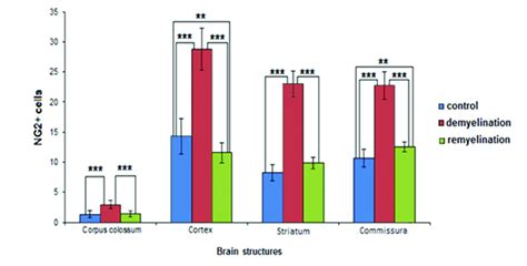 The Cuprizone Induced Significant Increase In Ng2 Cells Immature Download Scientific Diagram