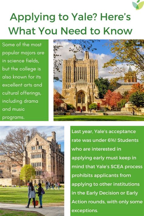 Applying To Yale Heres What You Need To Know University Yale How To Apply