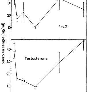 Metabolismo de esteroides en el testículo La síntesis de testosterona Download Scientific