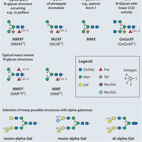 Selection Of Relevant Cross Reactive Carbohydrate Determinants The Download Scientific Diagram