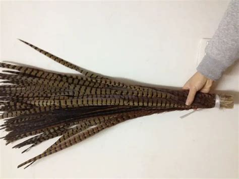 Wholesale Perfect 100pcs High Quality Natural Female Pheasant Feathers