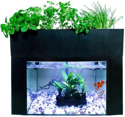Amazon Co Jp Aquaponics