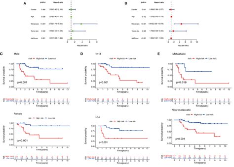 Prognosis Of The Anoikis Related LncRNA Signature In Osteosarcoma