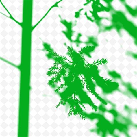 A Branch Of A Tree With A Green Background With A White Background With