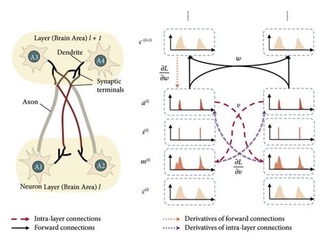 Intralayer Connected Spiking Neural Network With Hybrid Training Using Backpropagation And