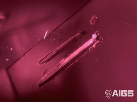 Inclusions In Ruby In Ruby Inclusions In Sapphire Inclusions In