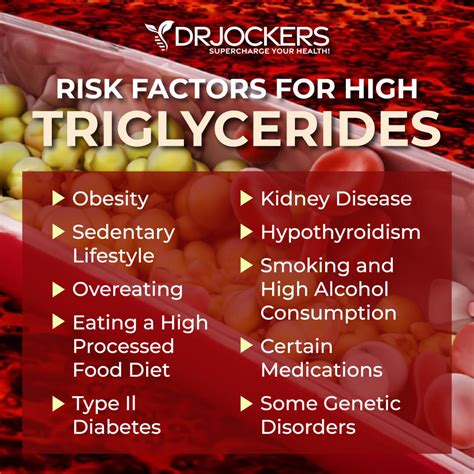 10 Causes Of High Triglycerides In Diabetes