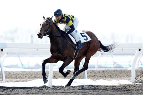 【こちら日高支局です・古谷剛彦】ホッカイドウ競馬で2歳馬が躍動 注目の新種牡馬勢も出走へ Umatoku 馬トク