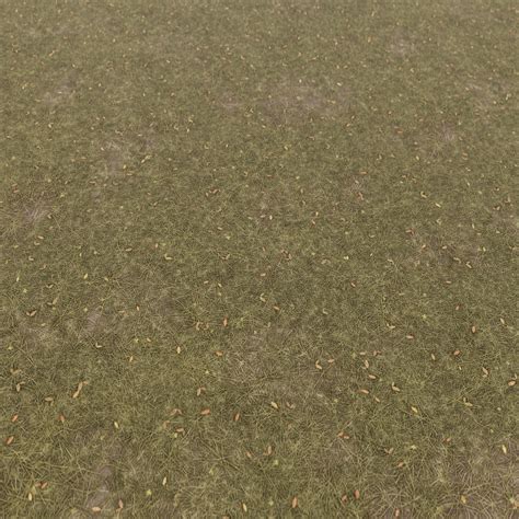 Autumn Leaves Mossy Grass Texture 4913 Lotpixel