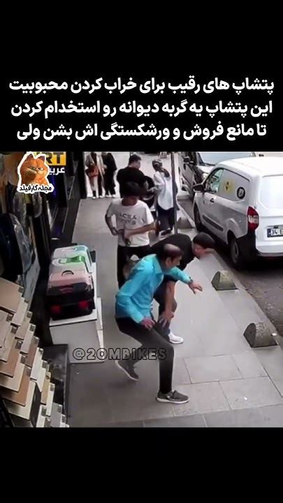 Cat گربهملوس Funny شیطون Dag 😻😂 Youtube