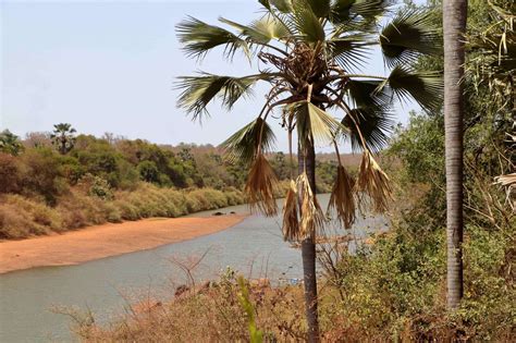 Parc National Du Niokolo Koba Senegal