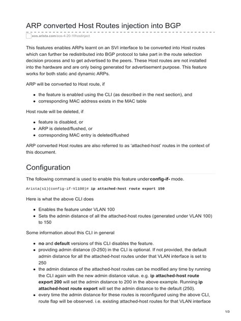 arp converted host routes injection into bgp pdf command line