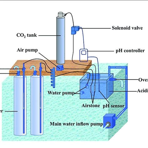 Schematic Diagram Of The Ph Controlling And Mesocosm System Download Scientific Diagram