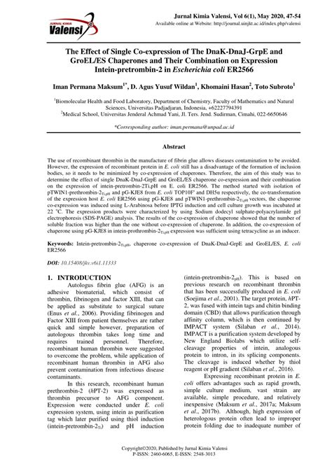 Pdf The Effect Of Single Co Expression Of The Dnak Dnaj Grpe And