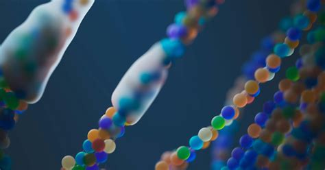 Bioinformatics Where Biology Meets Technology