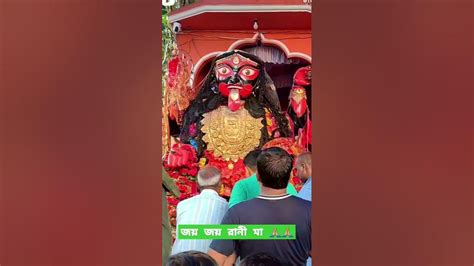 জয় মা রানী মা 🙏🏼🙏🏼🙏🏼🌺 Youtube