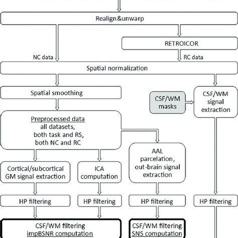 Schematic Pipeline Depiction Of Fmri Data Preprocessing And Computation Download Scientific