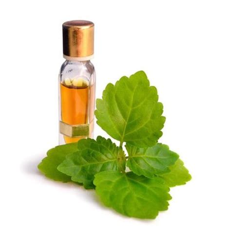 Sweet Patchouli Oil At Rs Kg In Laksar Id