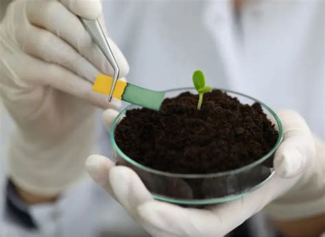 Mobile Soil Testing Laboratory Transchem Agritech