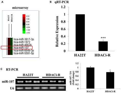 Hsa MiR 107 Regulates Chemosensitivity And Inhibits Tumor Growth In