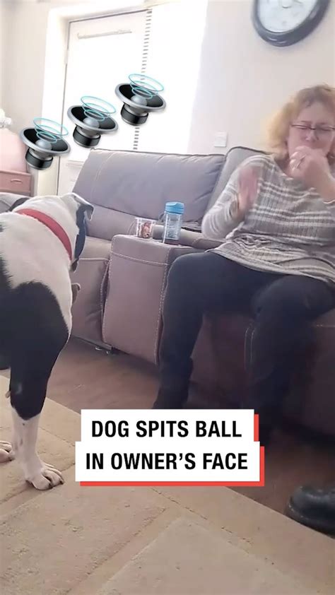 Ladbible Instagram On Pinno The Sound Makes It Even Funnier C