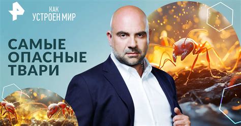 Как устроен мир с Тимофеем Баженовым — Самые опасные твари 29 08 2024 смотреть онлайн в