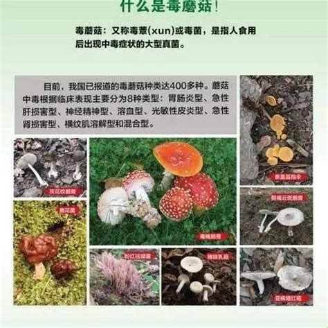 全南人，您有一份事关生命健康安全的信，请查收！！！食用加工何泽覃