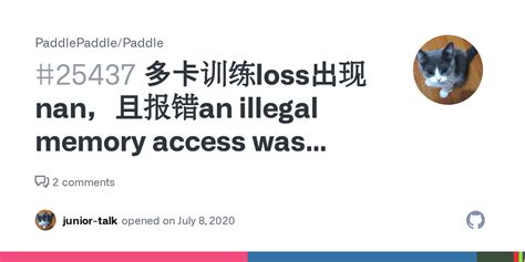 多卡训练loss出现nan，且报错an Illegal Memory Access Was Encountered · Issue
