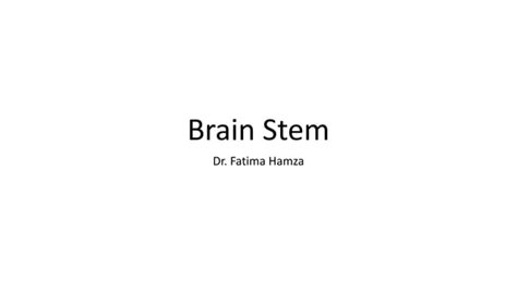 Brain Stempdf