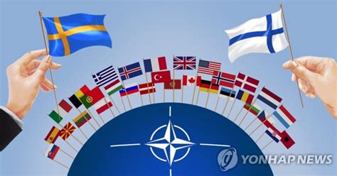 핀란드 의회 나토 조약 곧 비준스웨덴보다 먼저 가입 수순 파이낸셜뉴스
