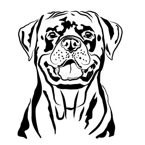 Head Rottweiler Stock Illustrations 474 Head Rottweiler Stock