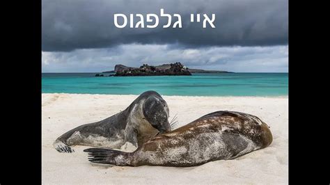טיול איי גלפגוס Youtube