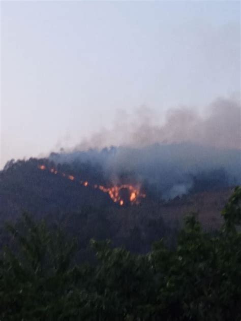 A Massive Fire Broke Out In The Forest Near Dunagiri Temple Almora