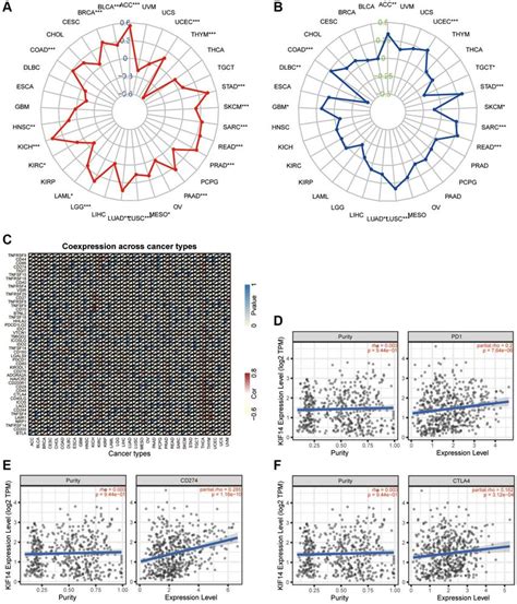 Association Between Kif14 Expression And Immune Infiltration In Luad Download Scientific