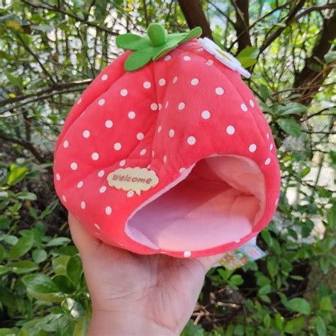 Amuse Amucha Land Mascot House Hobbies And Toys Toys And Games On Carousell
