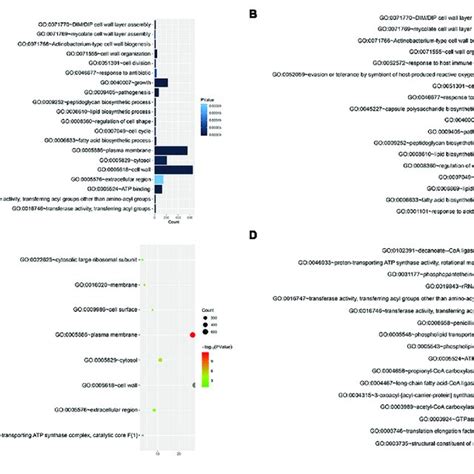 Functional Significance Analysis Of Cell Wall Related Genes In The
