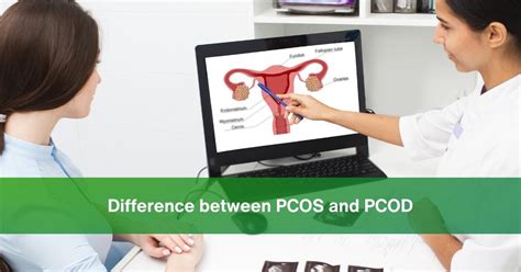 Difference Between Pcos And Pcod A Detailed Analysis Of Its Causes And