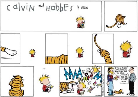Comic Books Rcalvinandhobbes