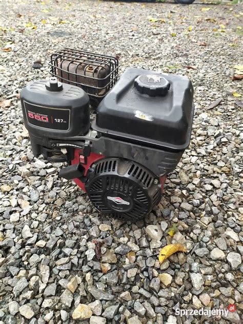 Silnik Briggs Stratton 550 series 127cc boczny wał Stare Wierzchowiska