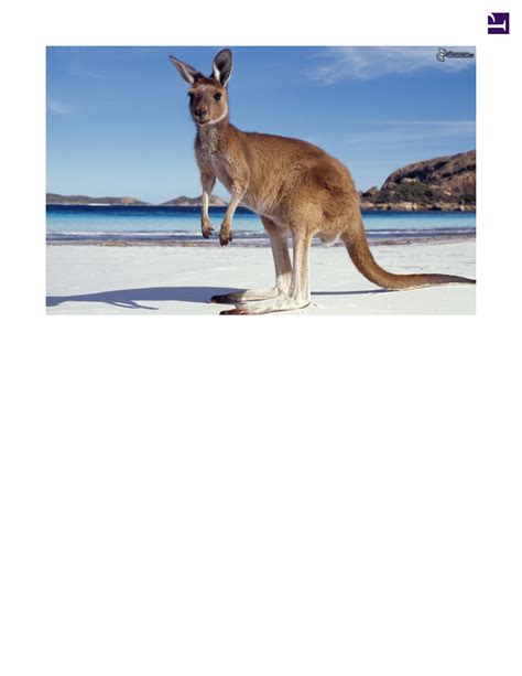 Print Cssrocks Printcss Css Paged Media Tutorial And Information