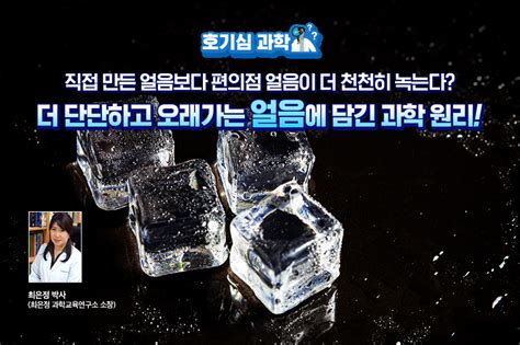[호기심 과학] 직접 만든 얼음보다 편의점 얼음이 더 천천히 녹는다 더 단단하고 오래가는 얼음에 담긴 과학 원리